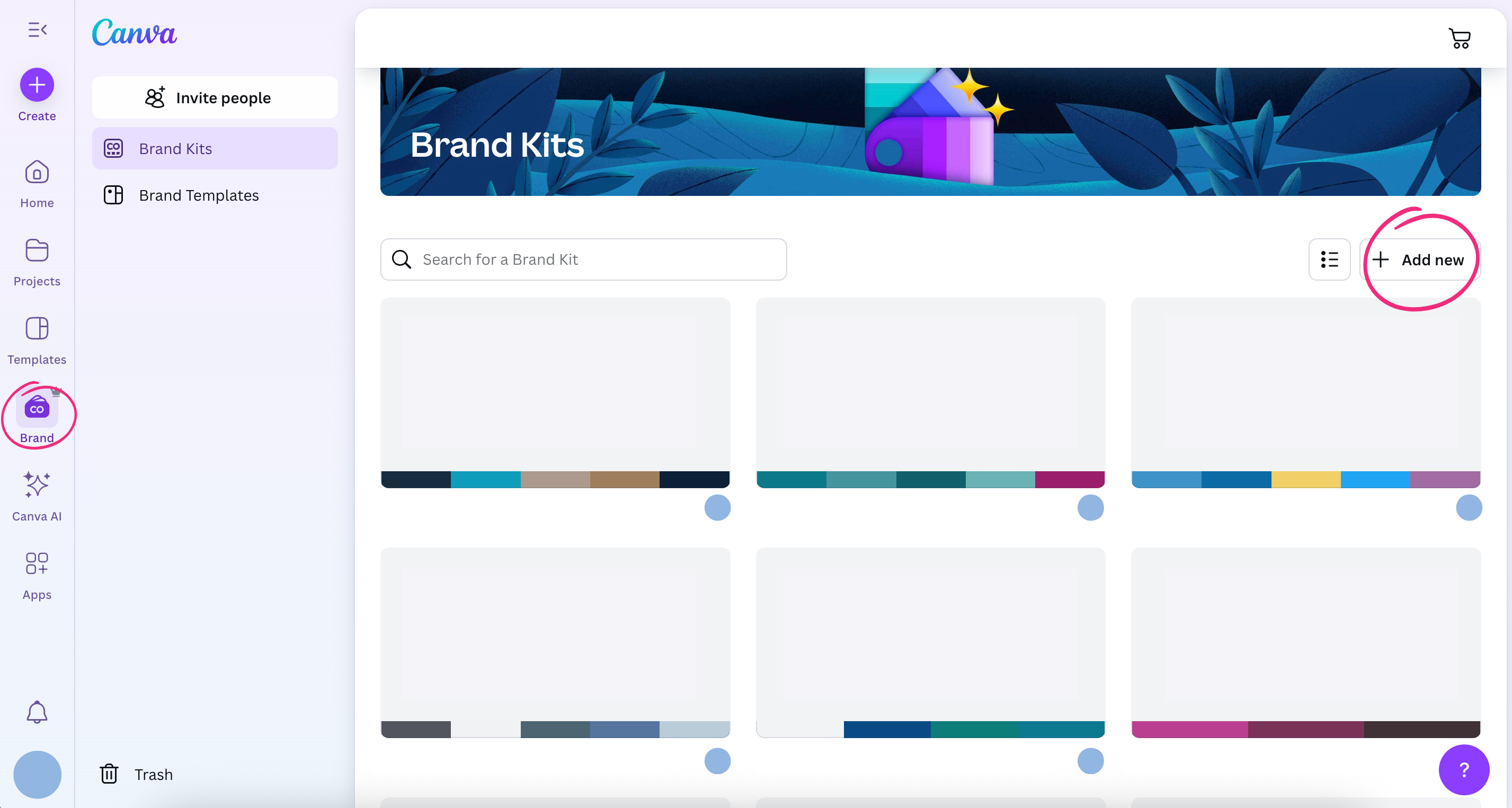 5 Quick Canva Hacks from a Designer | Wodify